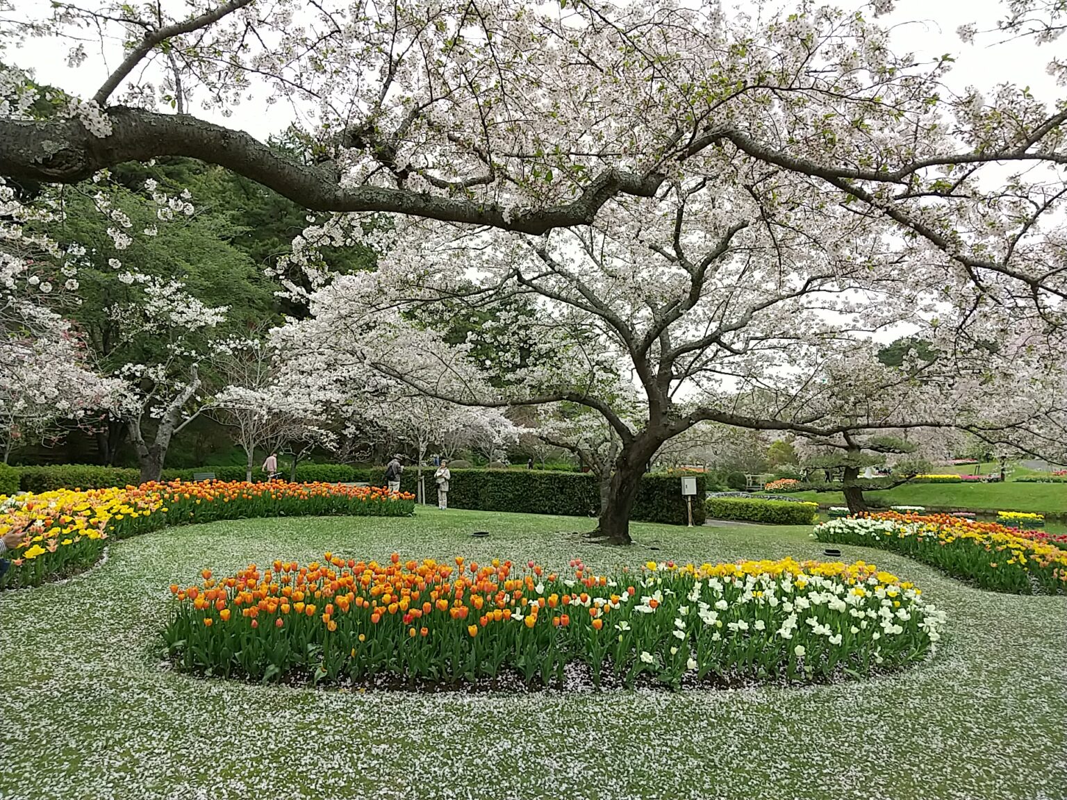 浜名湖花博 - しあわせたしざん幸和ハウジングしあわせたしざん幸和ハウジング
